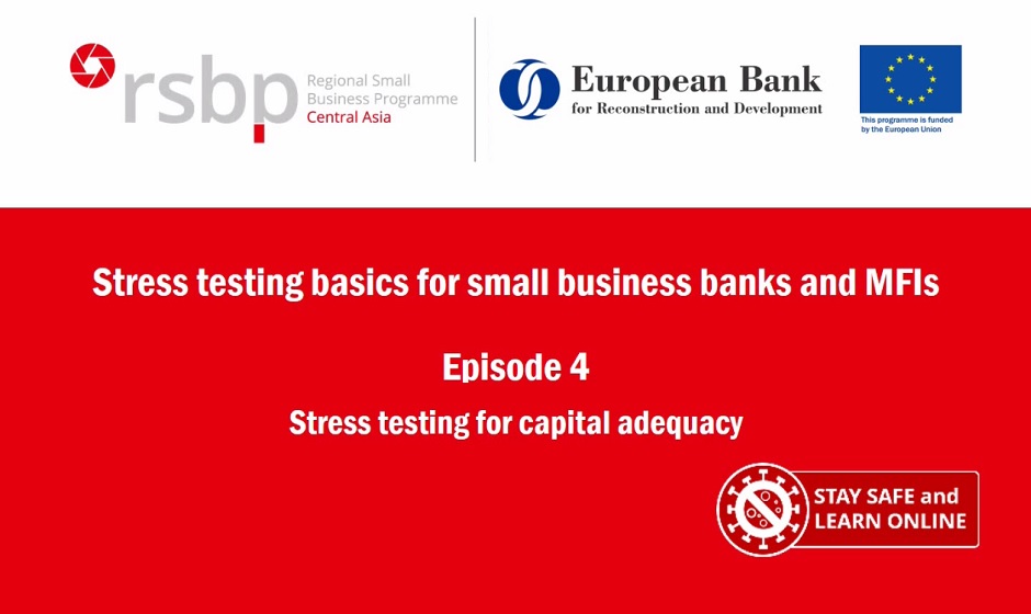 Stress testing basics for small business banks and MFIs (a series of ...