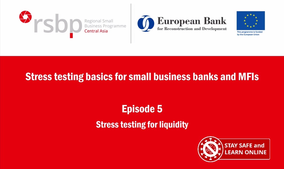 Stress testing basics for small business banks and MFIs (a series of ...
